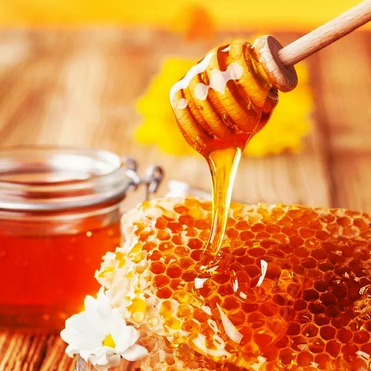 A7md Ghazi (@A77md_Ghazi) | Twitter