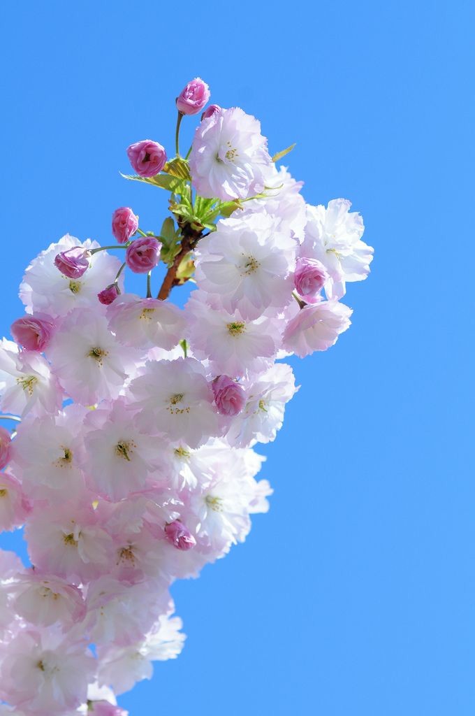 A7md Ghazi (@A77md_Ghazi) | Twitter