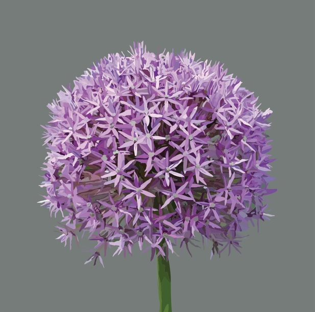 Allium Minecraft