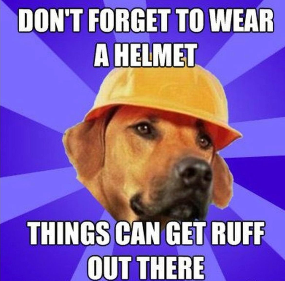 Ruff Week Meme Brutal Week Memes & GIFs Imgflip