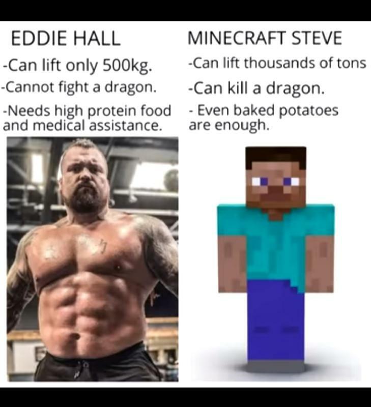 Minecraft Guy Meme