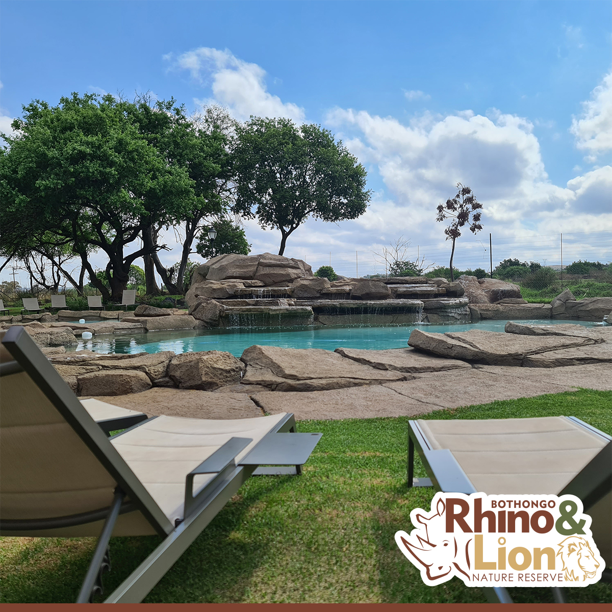 Rhino And Lion Reserve