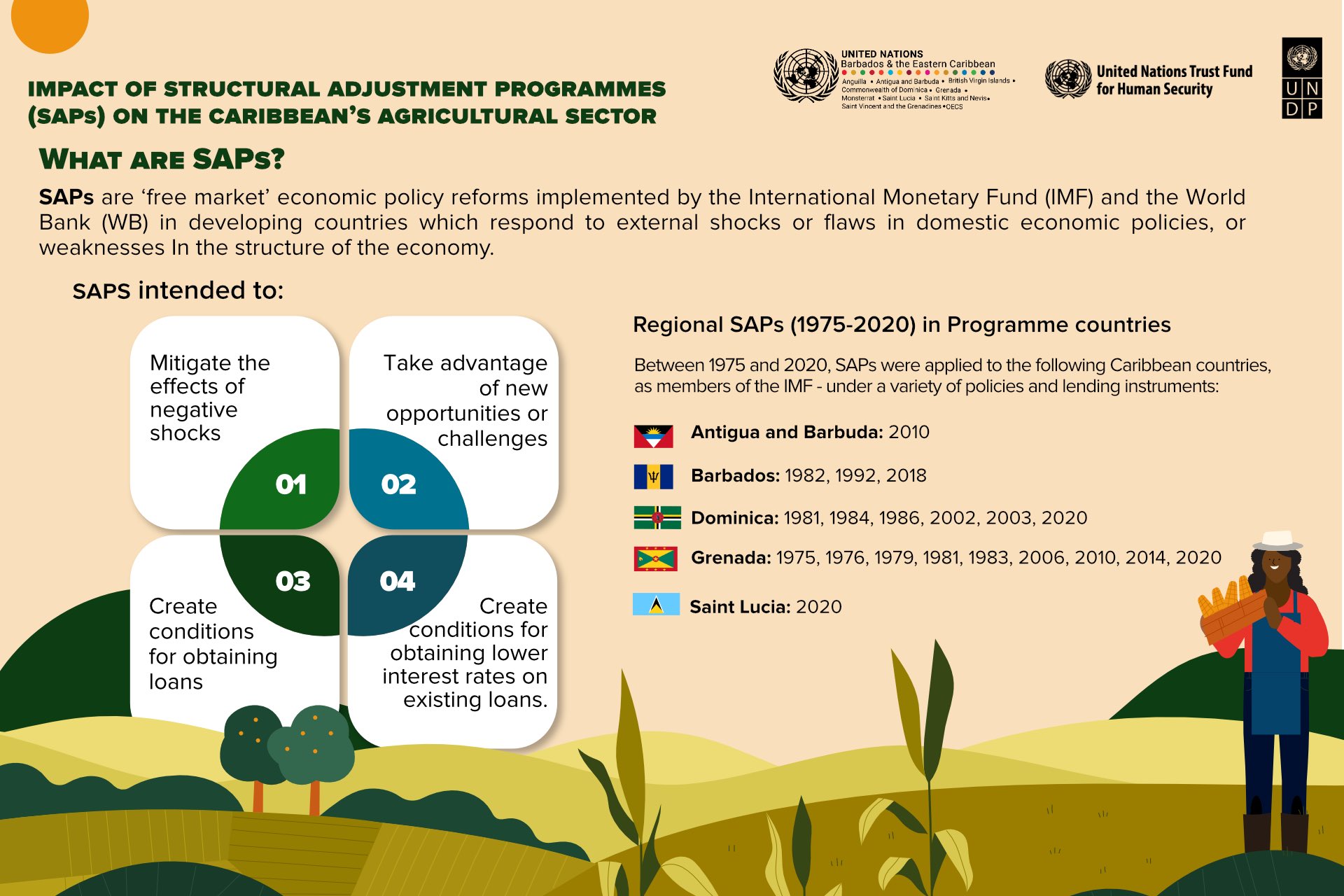Structural Adjustment Program