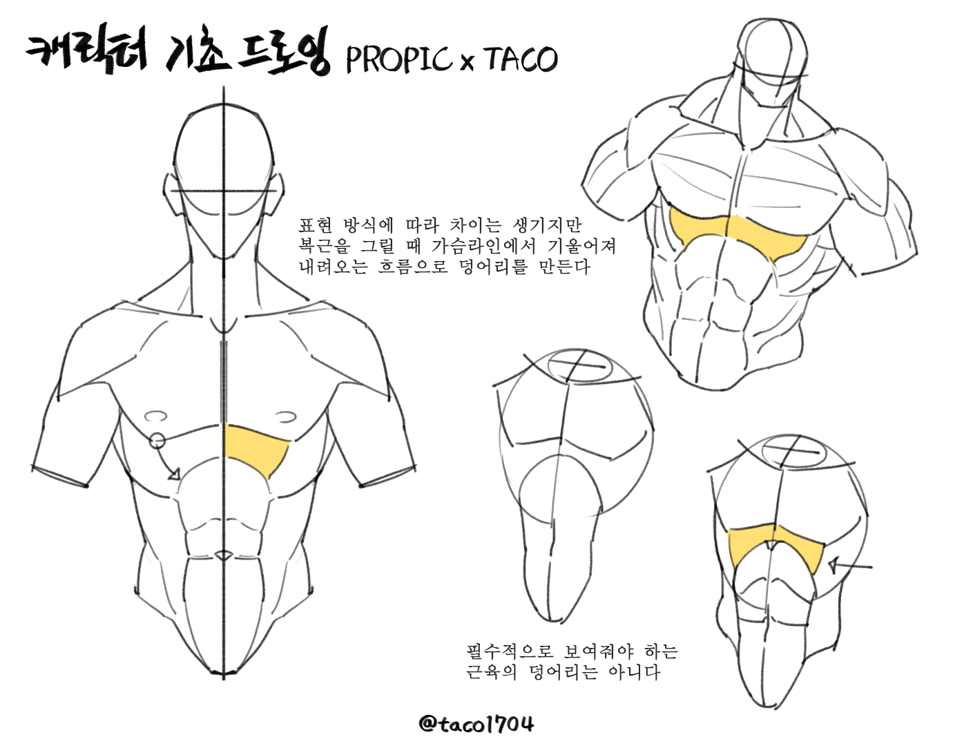 타코작가 On Twitter 표현 범위나 방식에 따라 차이는 있지만 복근을 그릴 때 가슴라인에서 기울어져 내려오는 흐름으로 시작한다