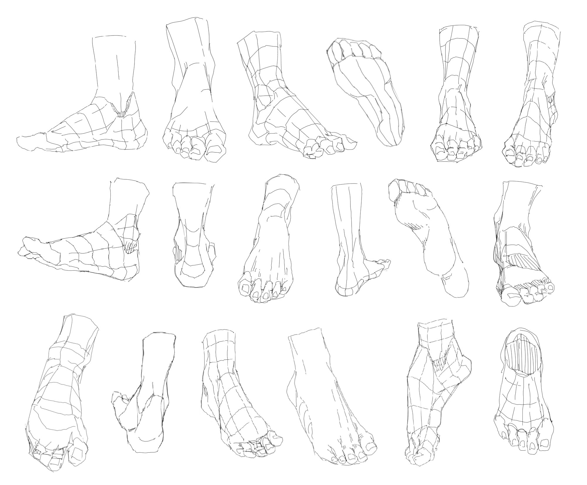 Drawing Feet Reference