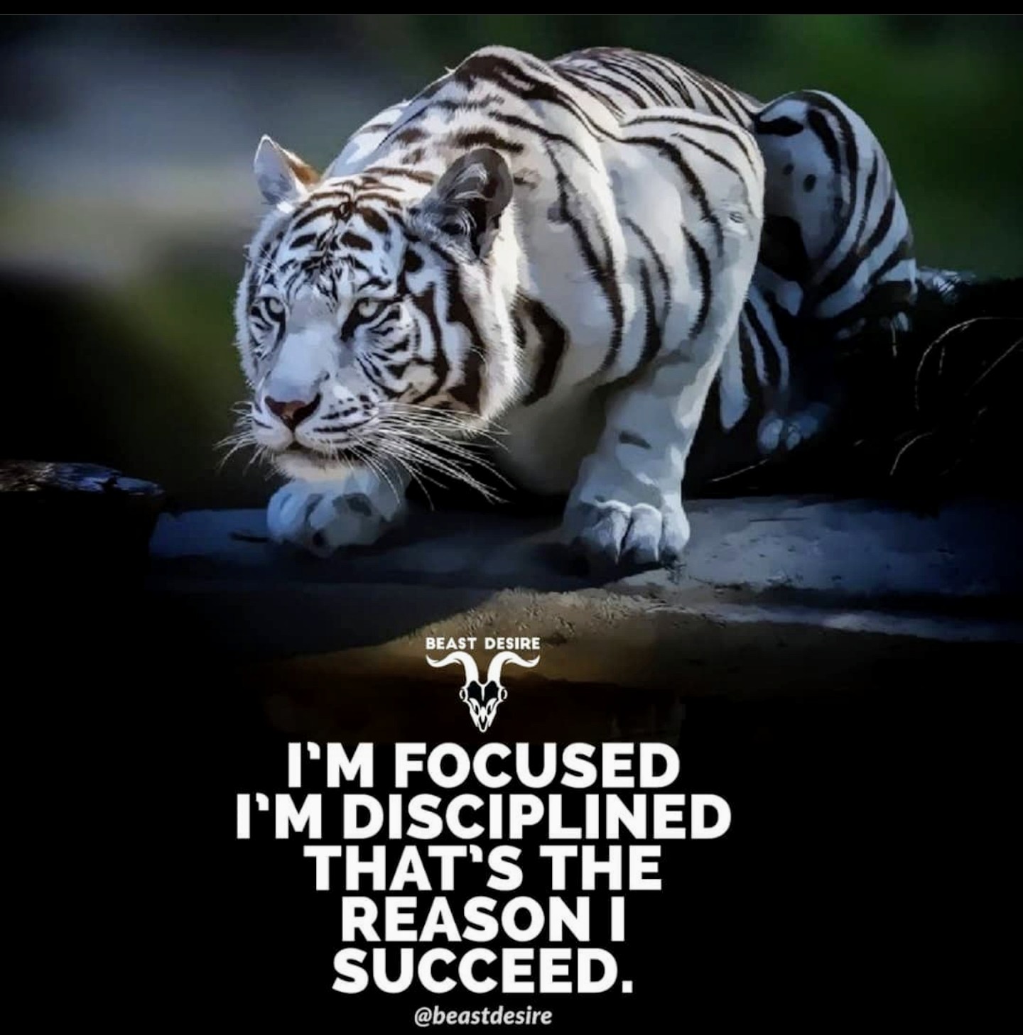 Im Focused Quotes It's Your Life, It's Time To LIVE #quotes #life