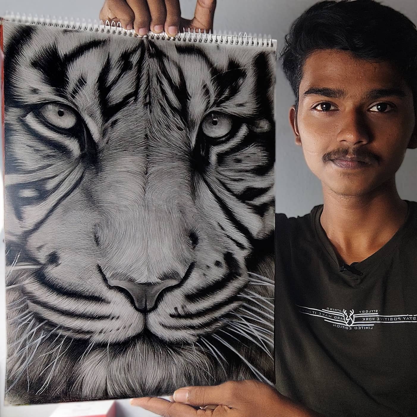 Realistic Tiger Drawings