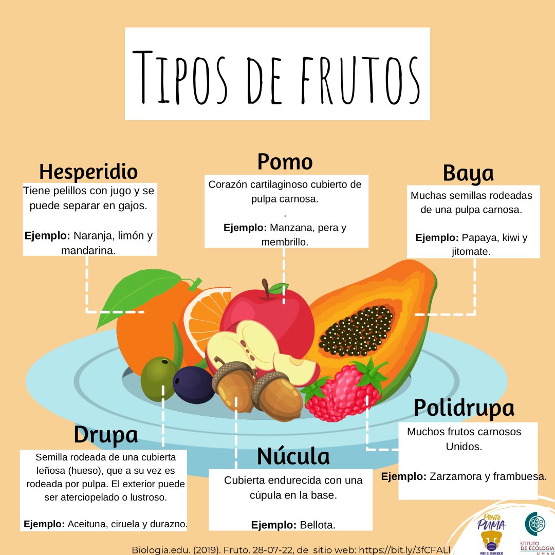 Frutos Carnosos