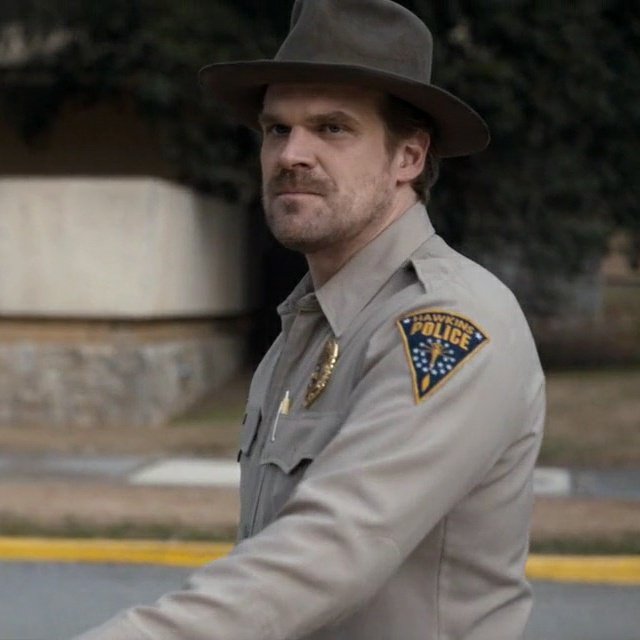 What was your favorite Hopper look? : r/StrangerThings