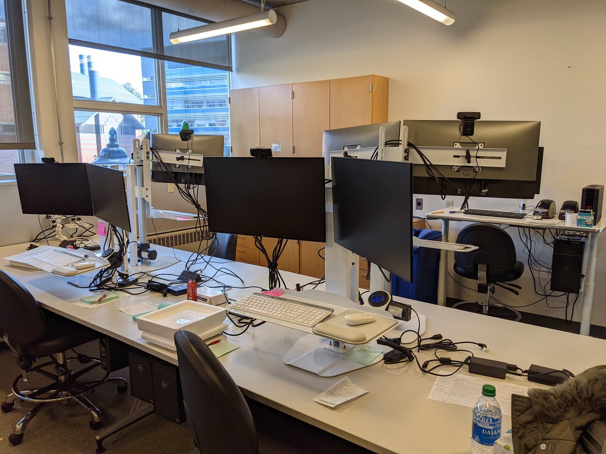 Natale Sciolino, PhD (@Sciolino_Lab) | Twitter