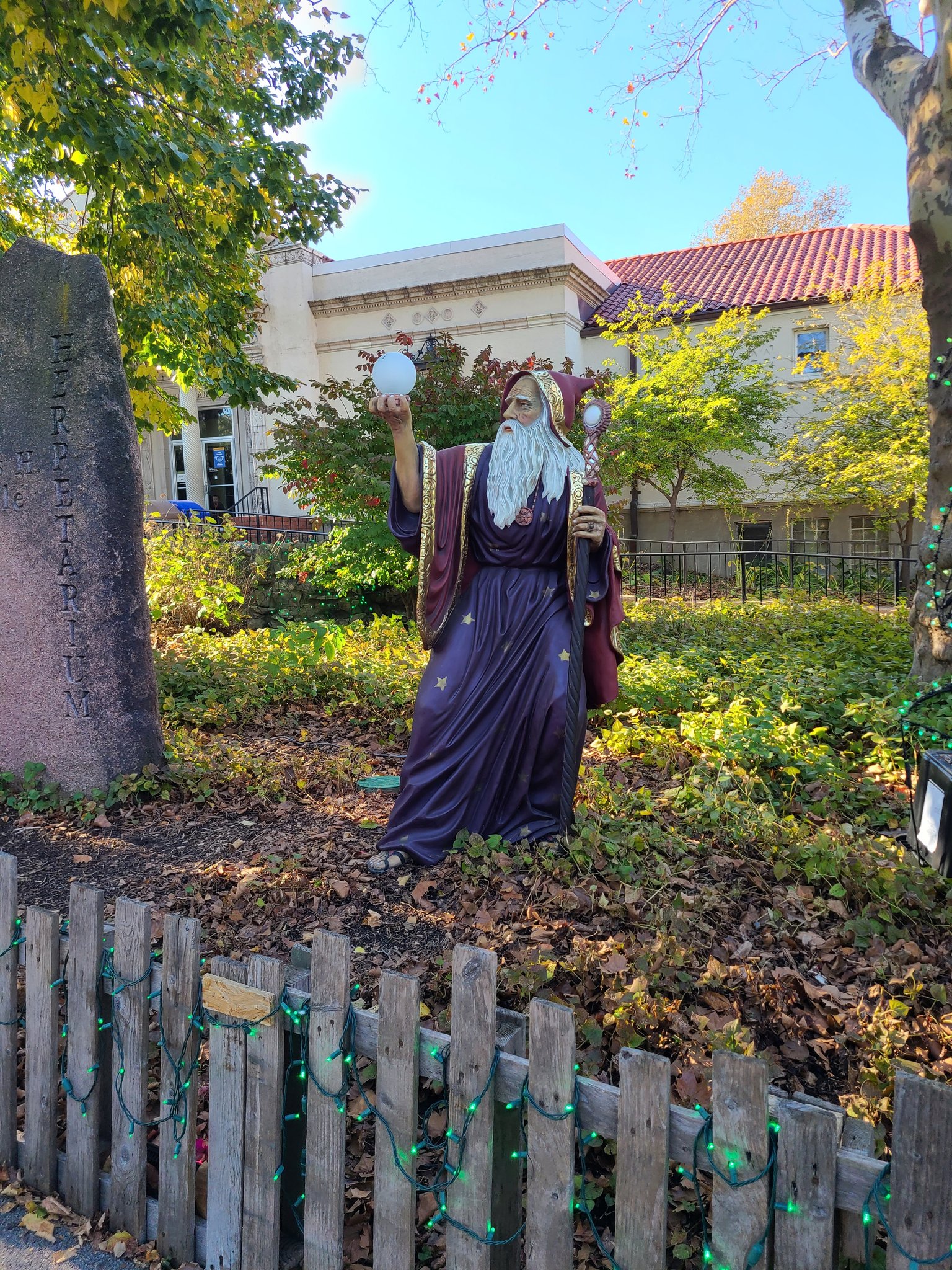 TW Pornstars - Kirby. Twitter. You know what every zoo needs? A wizard ...