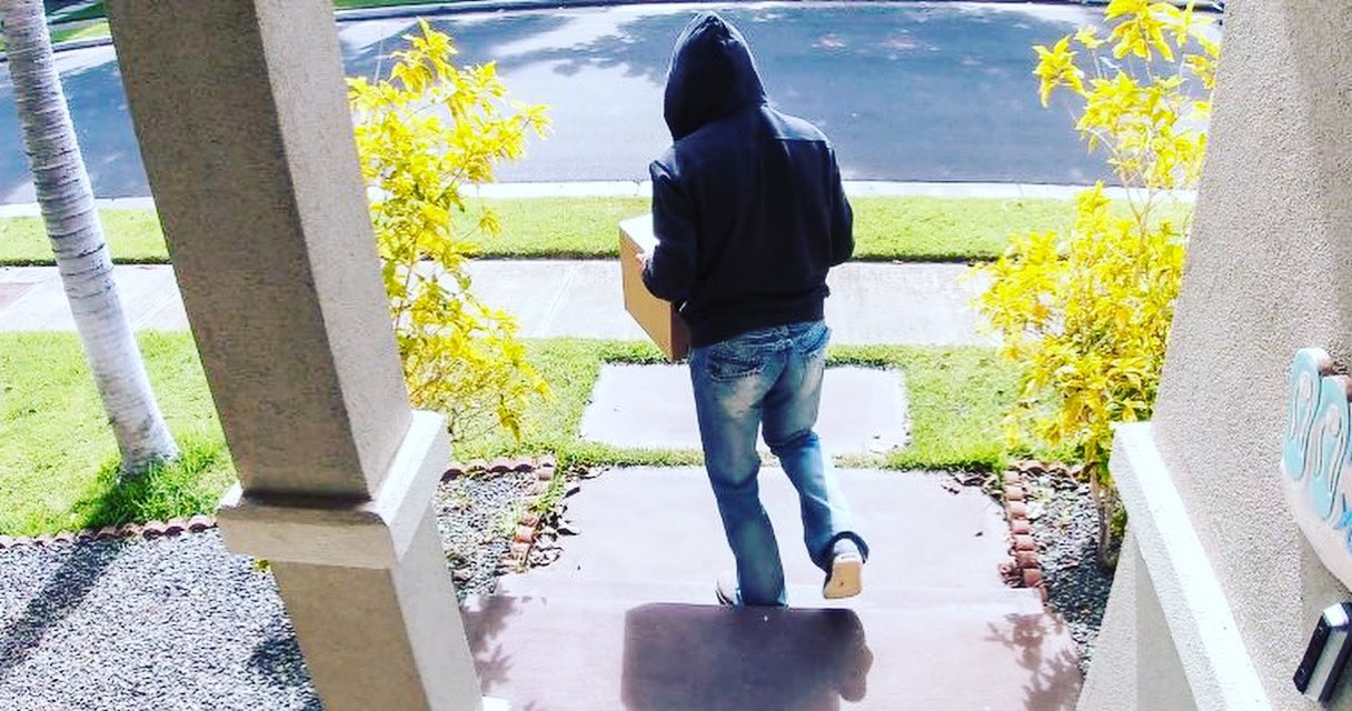 Bryson Cook (@Wolf_PackRec) / Twitter