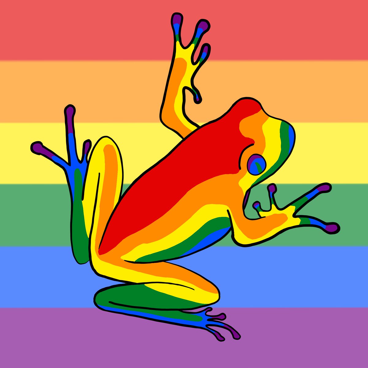 Rainbow Tree Frog