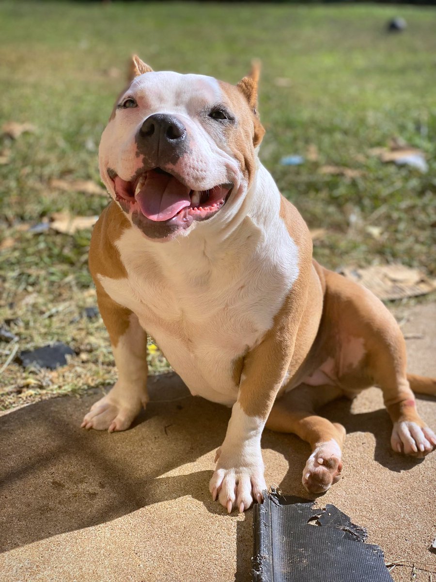 ThinkBig_BullyKamp (@TBullykamp) | Twitter