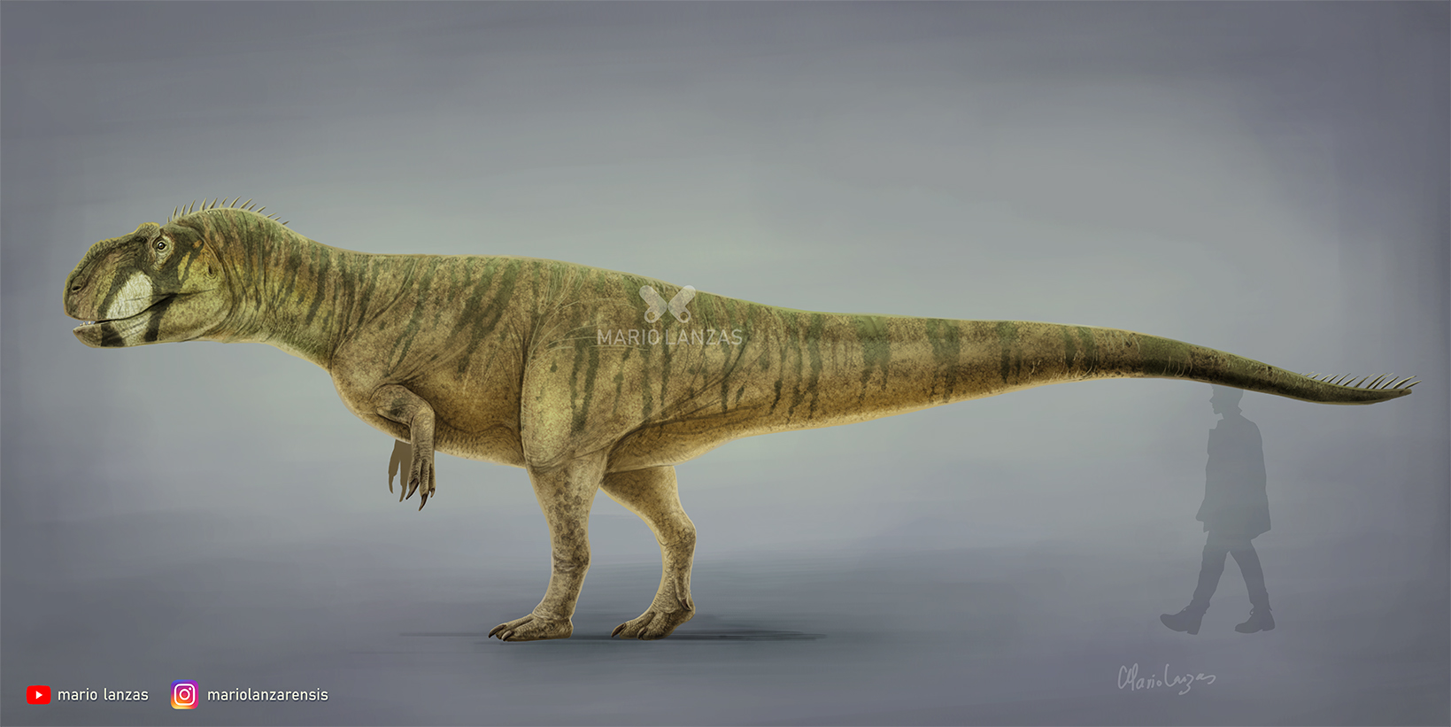 Yangchuanosaurus Vs Tyrannosaurus