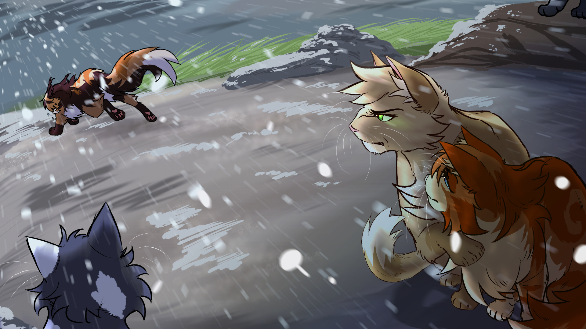 Warrior Cats Mapleshade And Appledusk