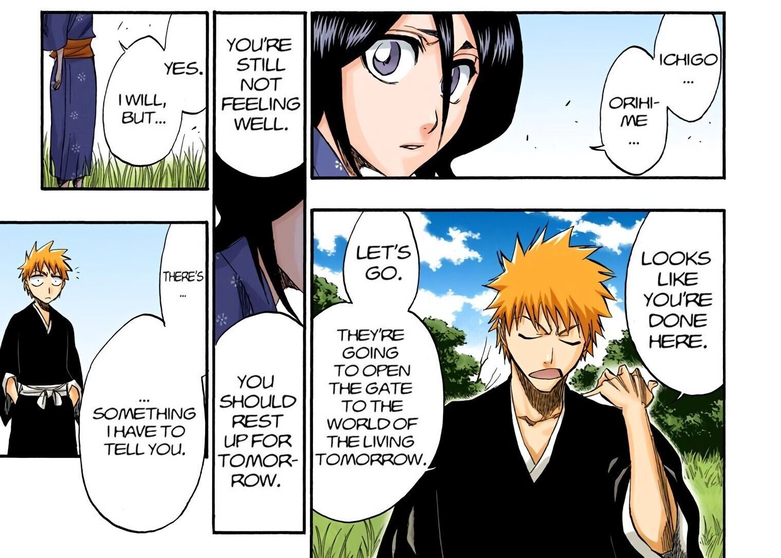 Ichigo And Rukia Back To Back