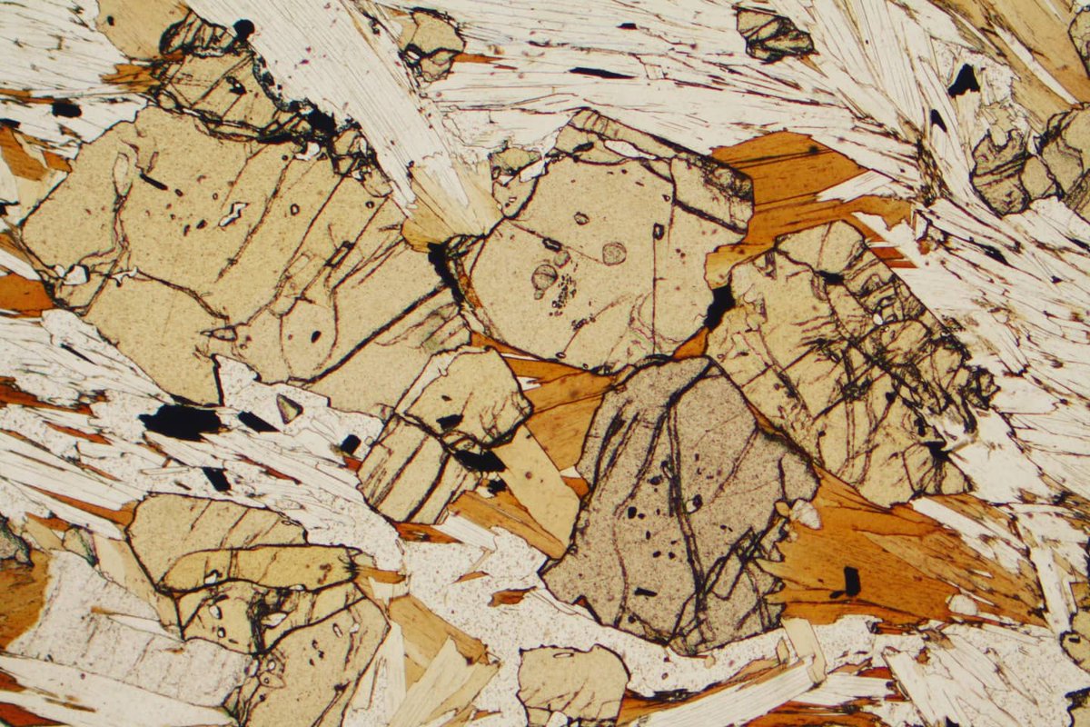 Staurolite Thin Section