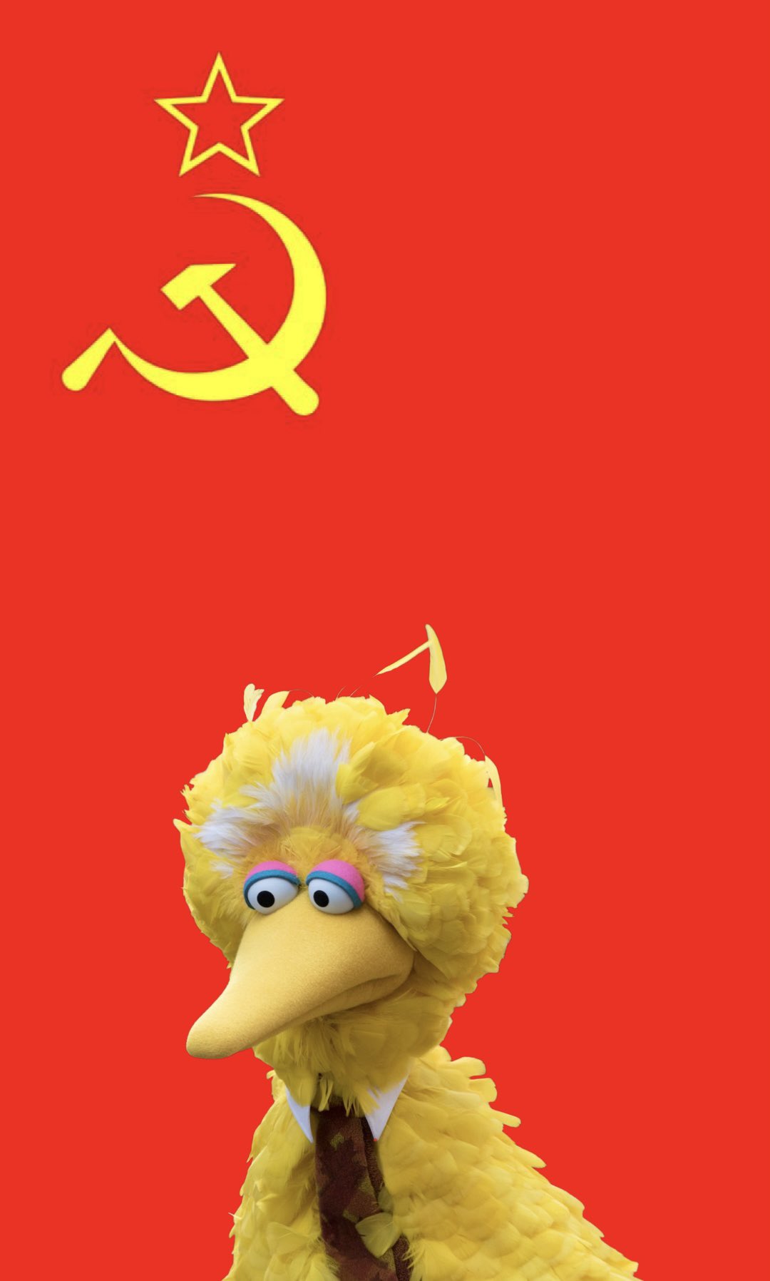 Go With Big Bird