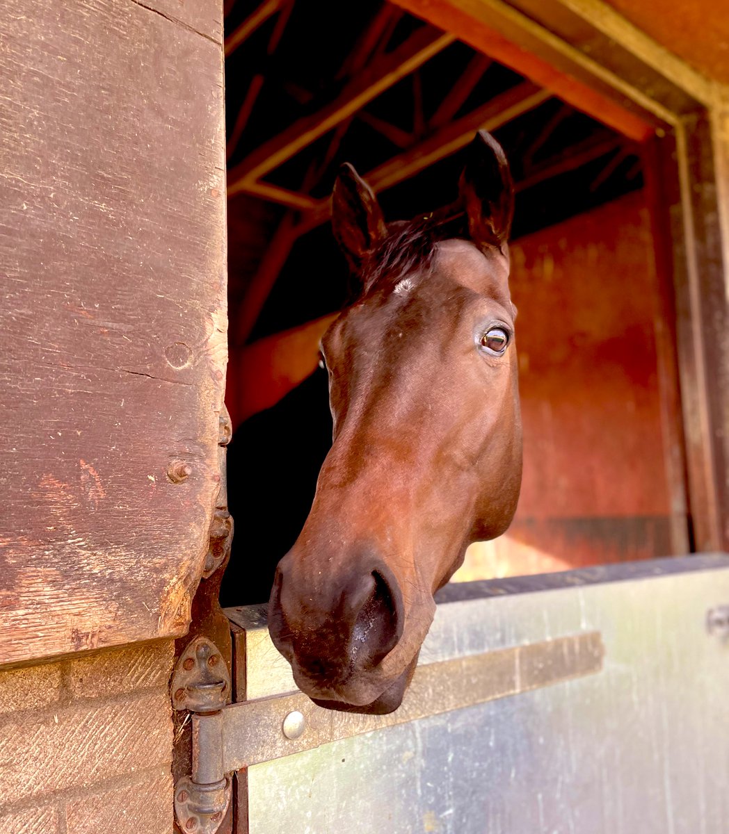 Ruby Red Racing (@RubyRed_Racing) | Twitter