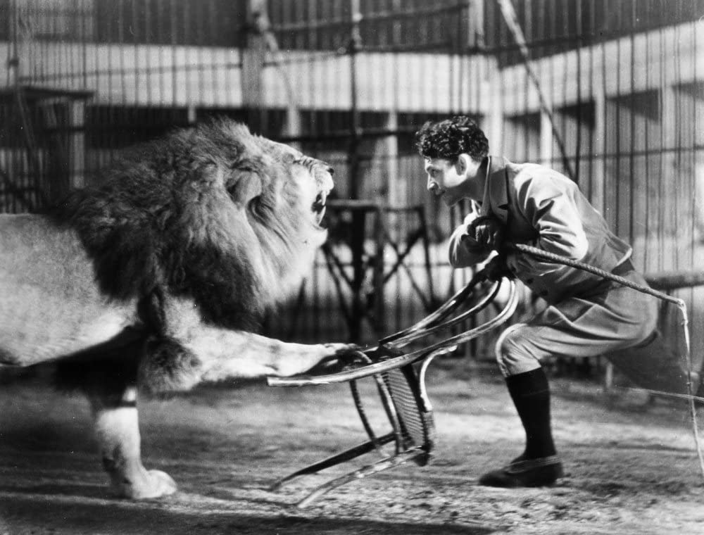 Circus Lion Tamer With Stool