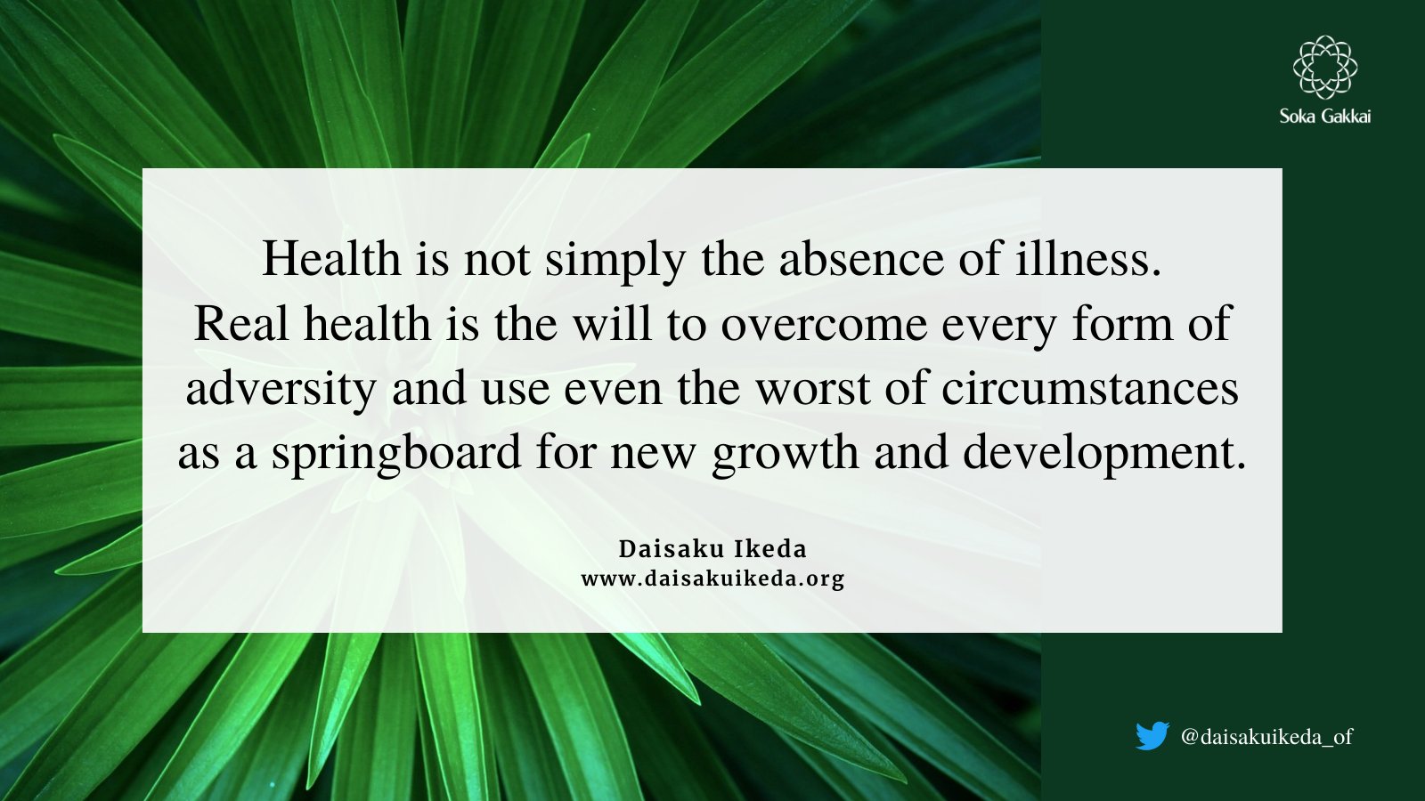 Overcoming Illness Quotes