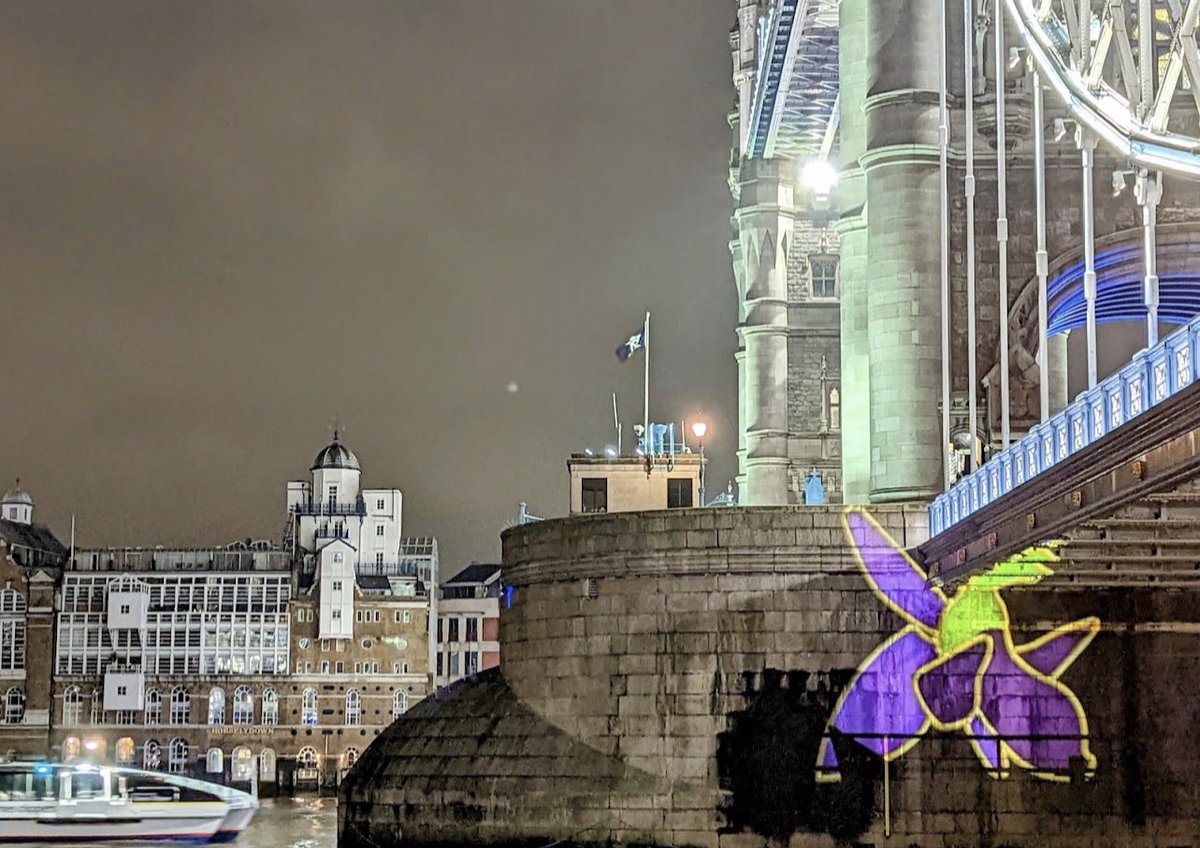 Yesterday, on the occasion of Victory Day and Flag Day of #Azerbaijan ...