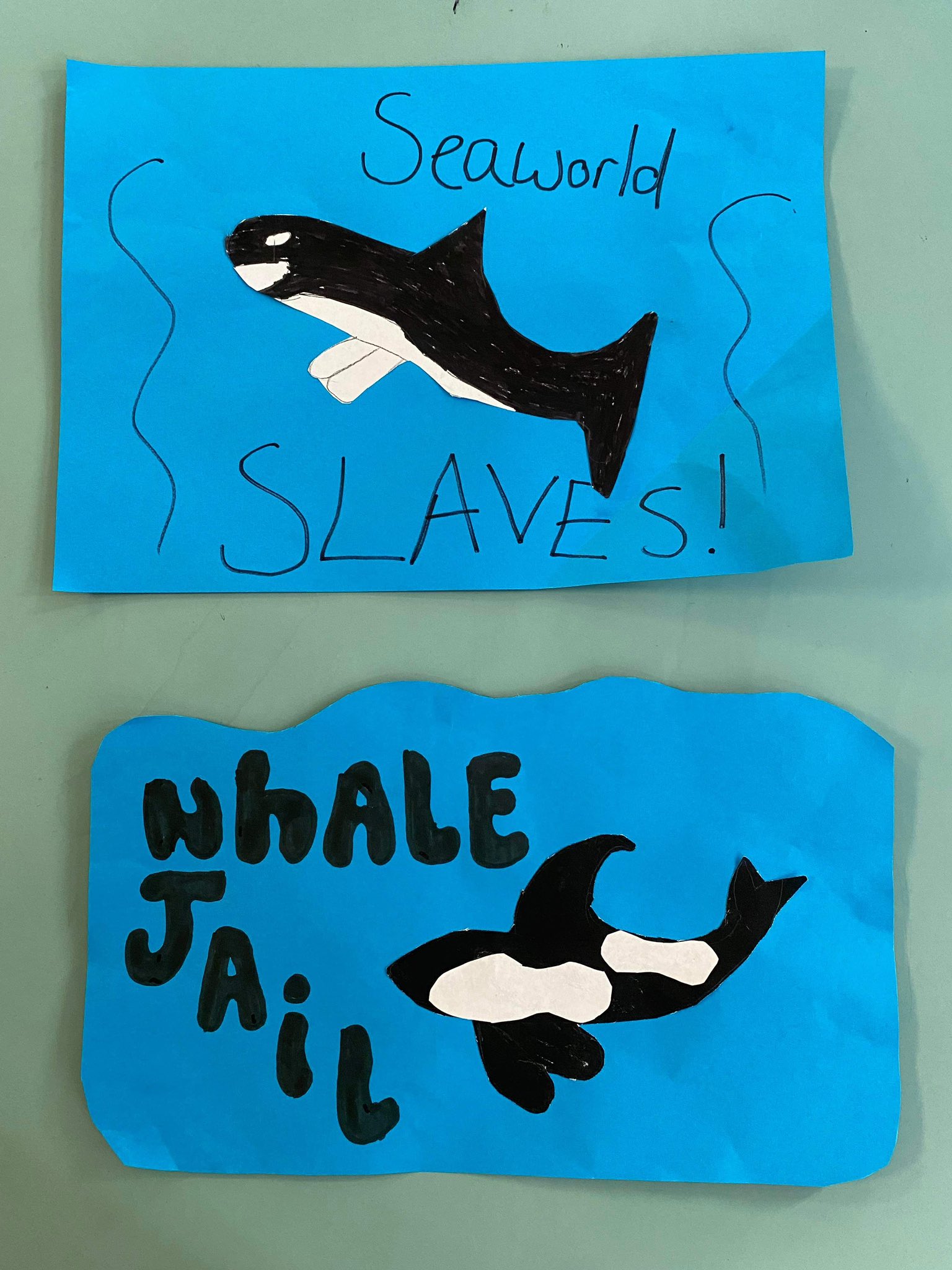 Blackfish Poster