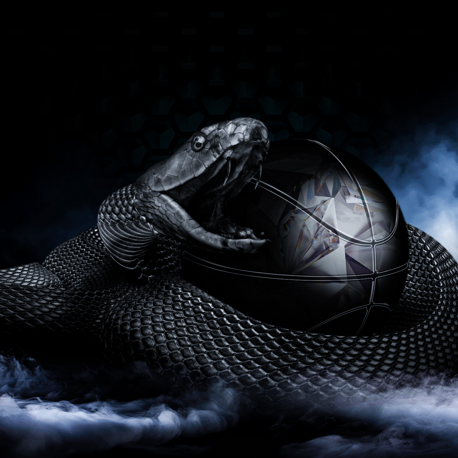 Black Mamba Wallpapers Hd