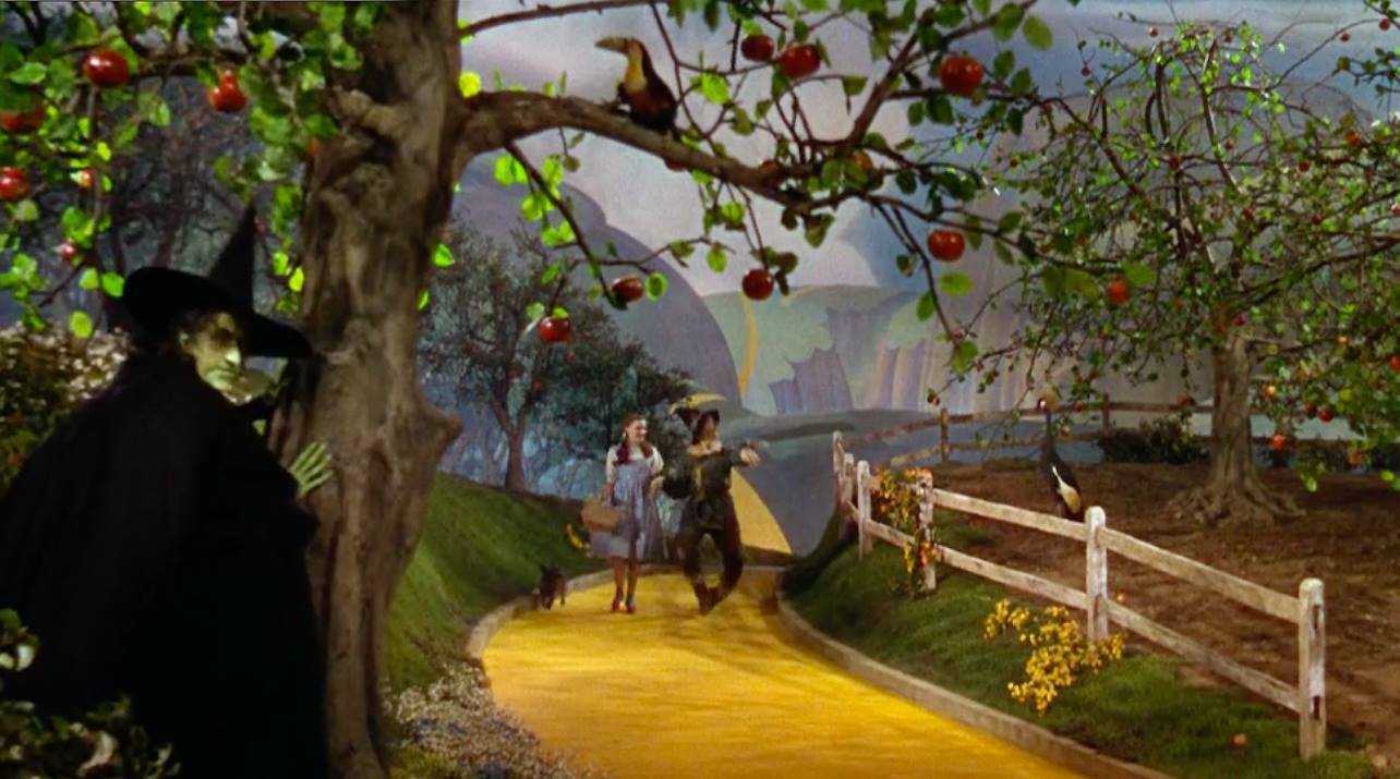 Wizards Of Oz Forest Trees