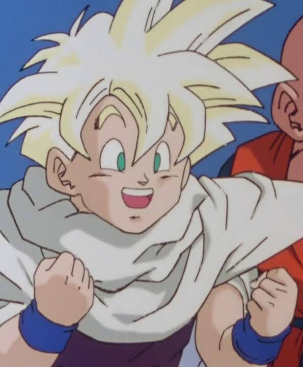 Gohan Happy