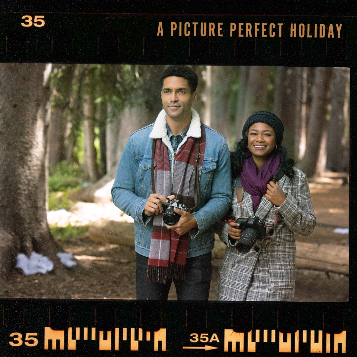 The Perfect Holiday Poster