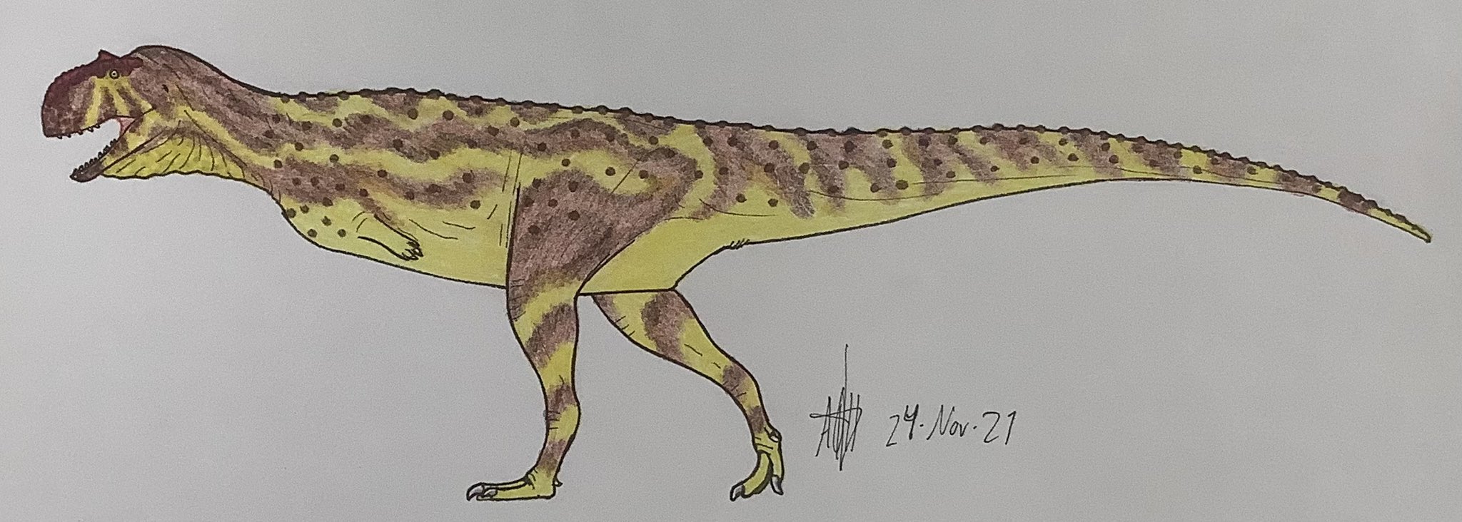 Rajasaurus Skeleton