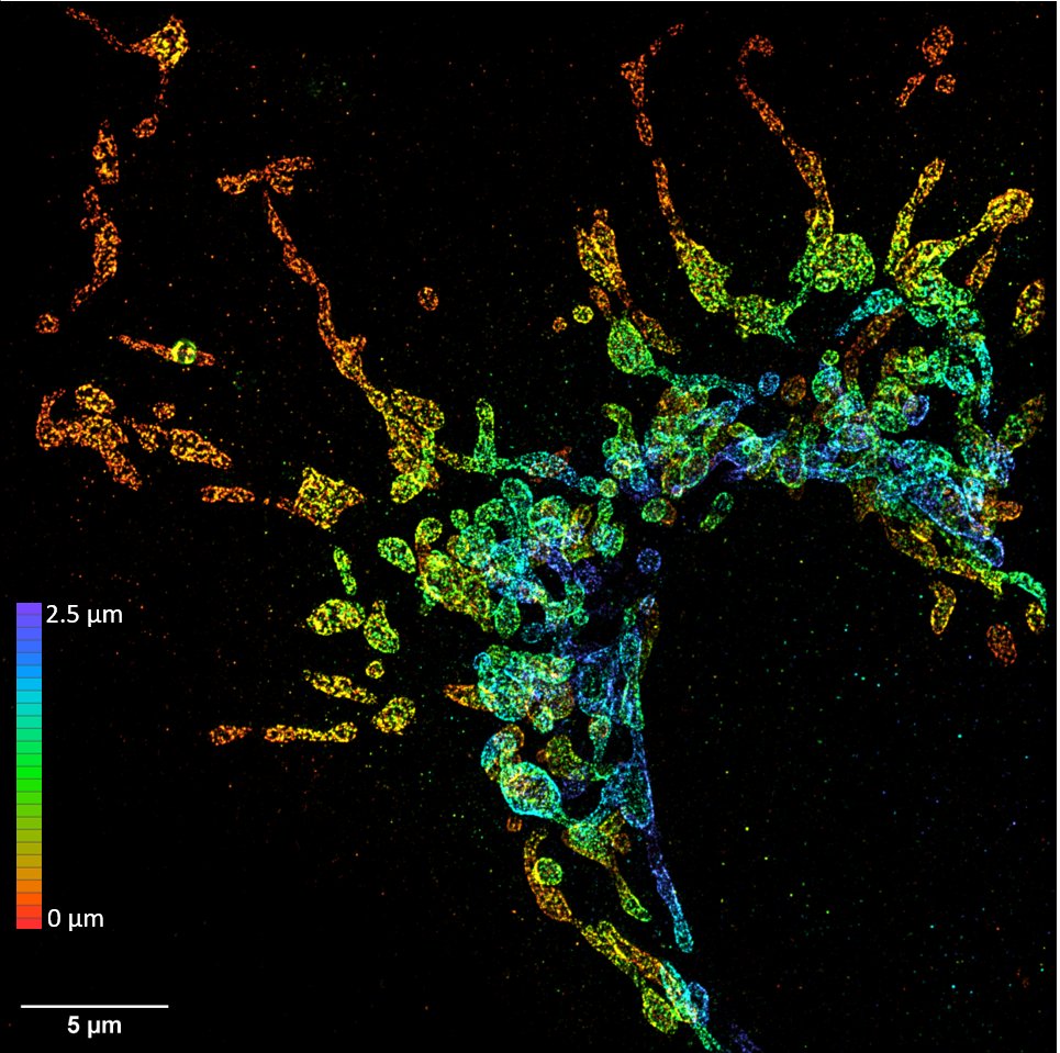 Euro Bioimaging