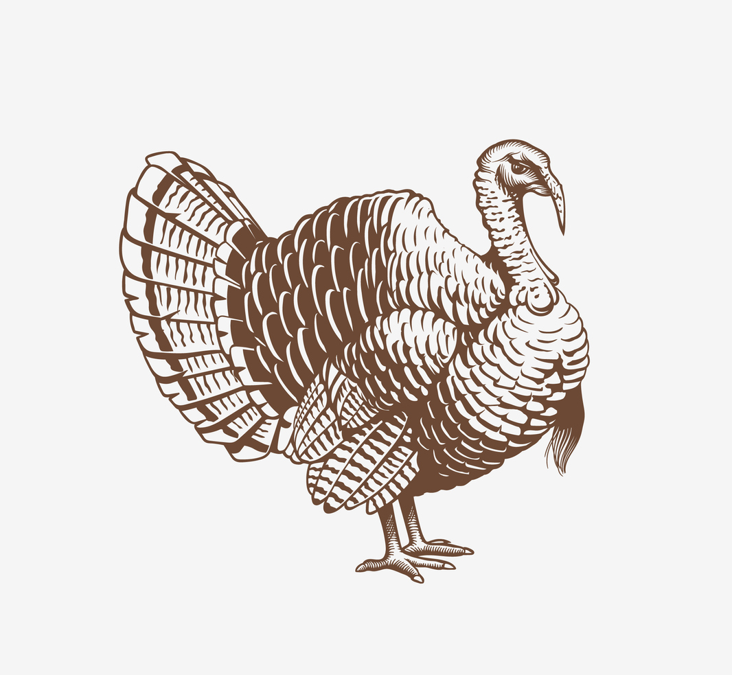Wild Turkey Stencil