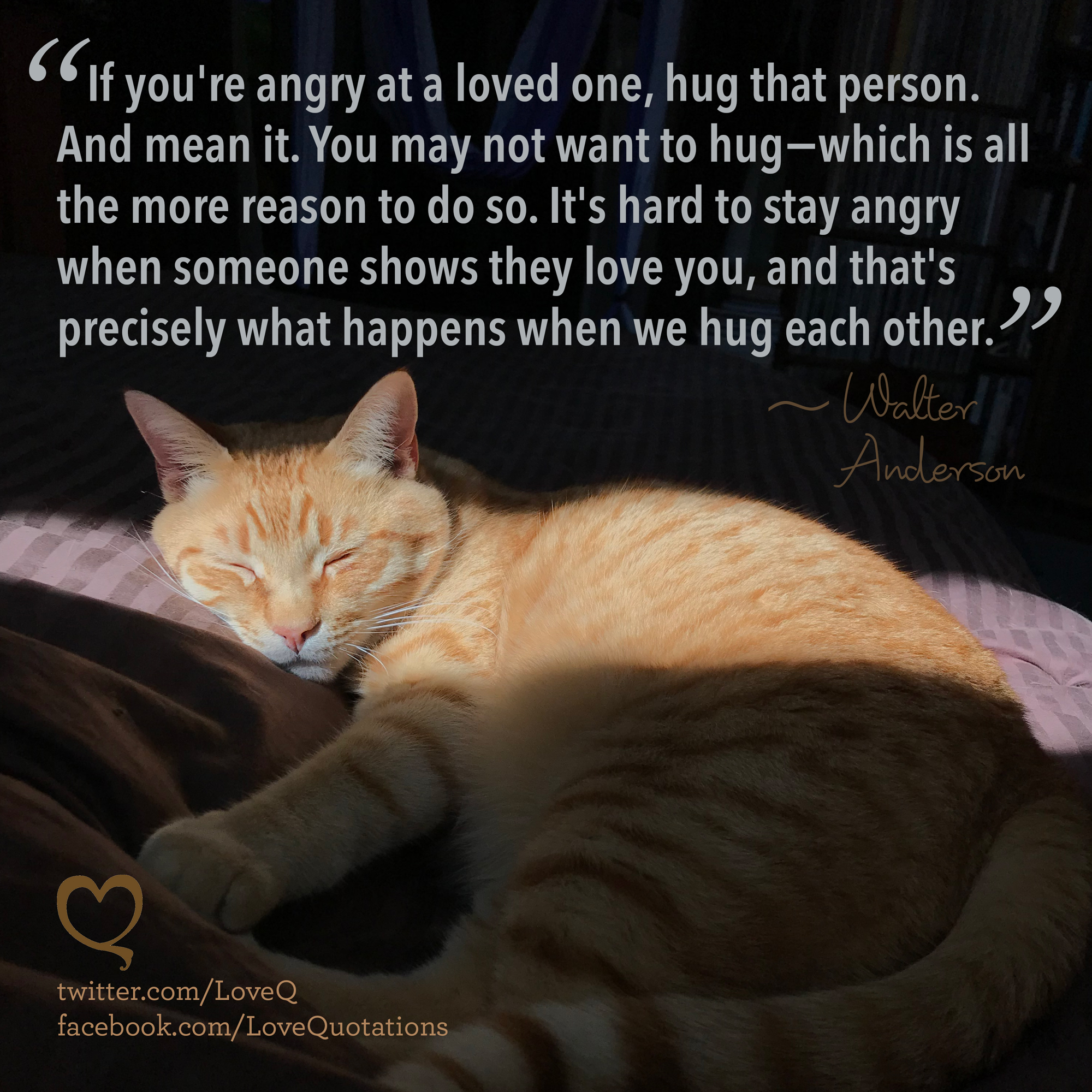 Love Rage Quotes Angry Vs Love Quote Inspiration Boost