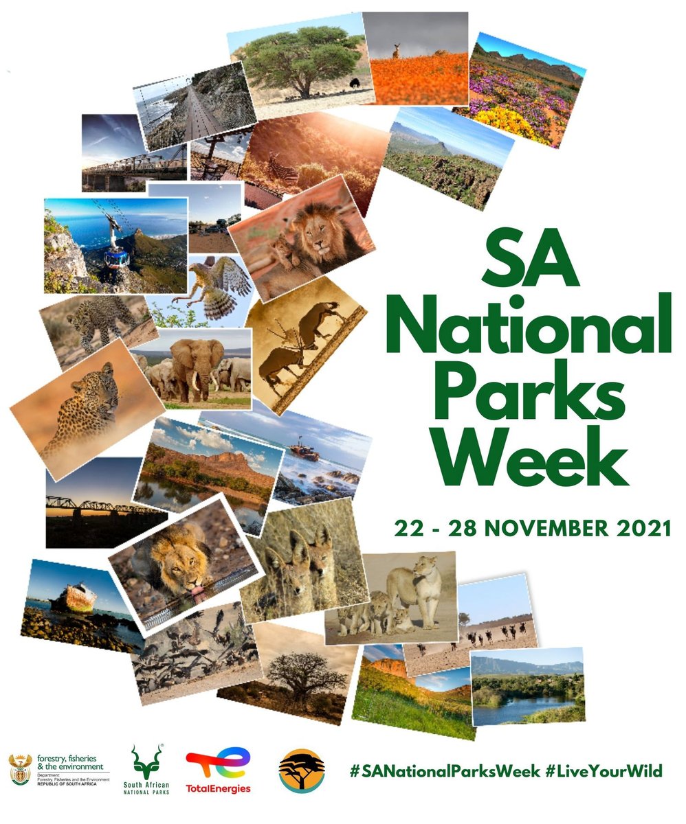#SANationalParksWeek: Visit SA’s national parks for free 22 to 28 Nov ...