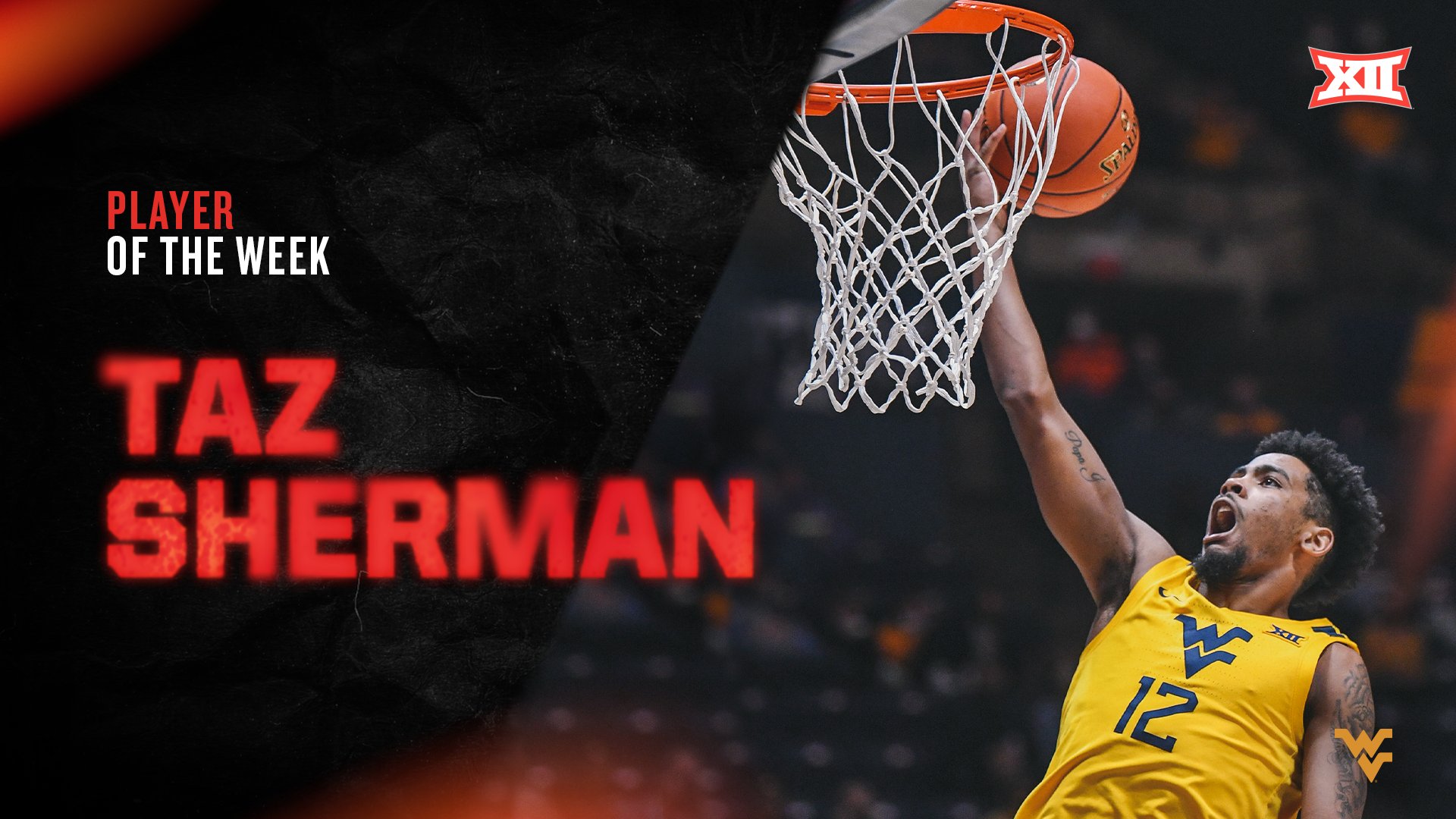 Basketball Taz Wallpaper