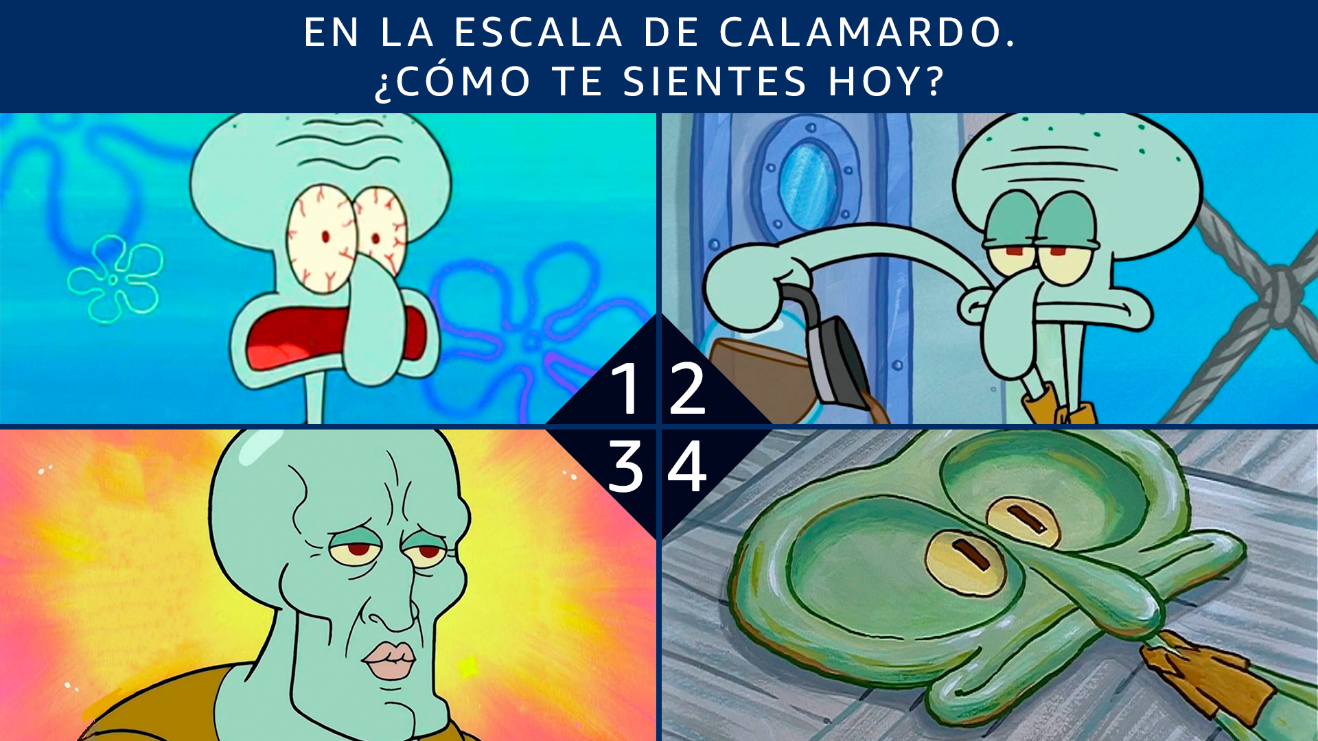 Meme De Calamardo Guapo Calamardo Guapo XD