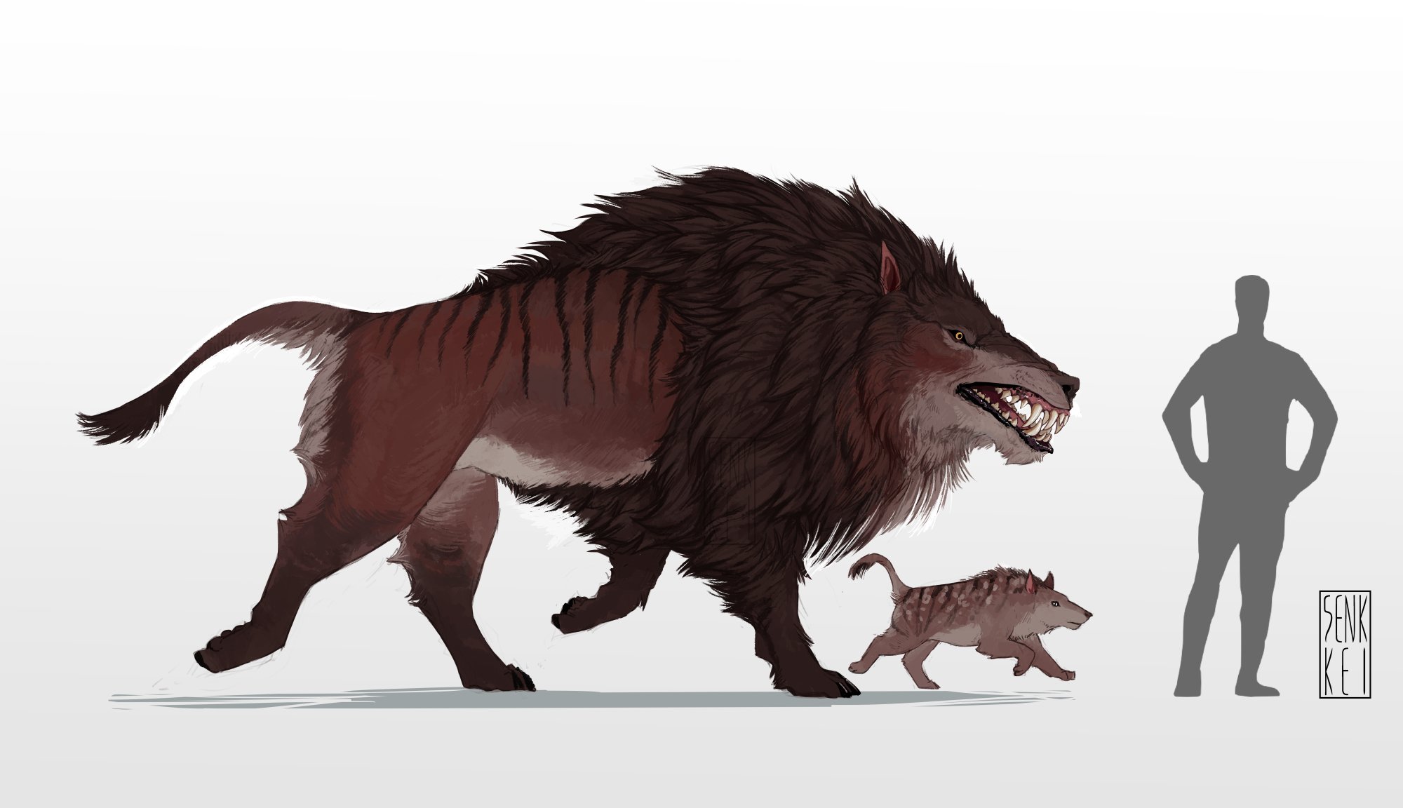 Dire Wolf Size Compared To Lion