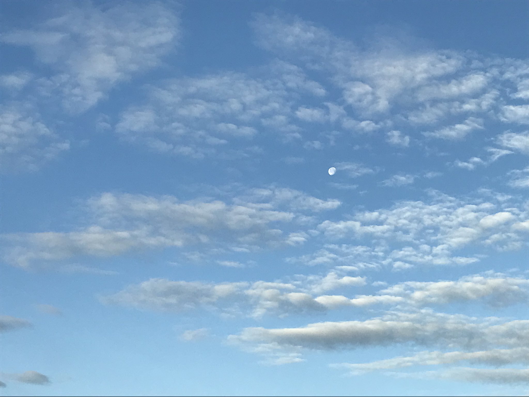 Preena Mistry⁷ (@preena_mistry) / Twitter