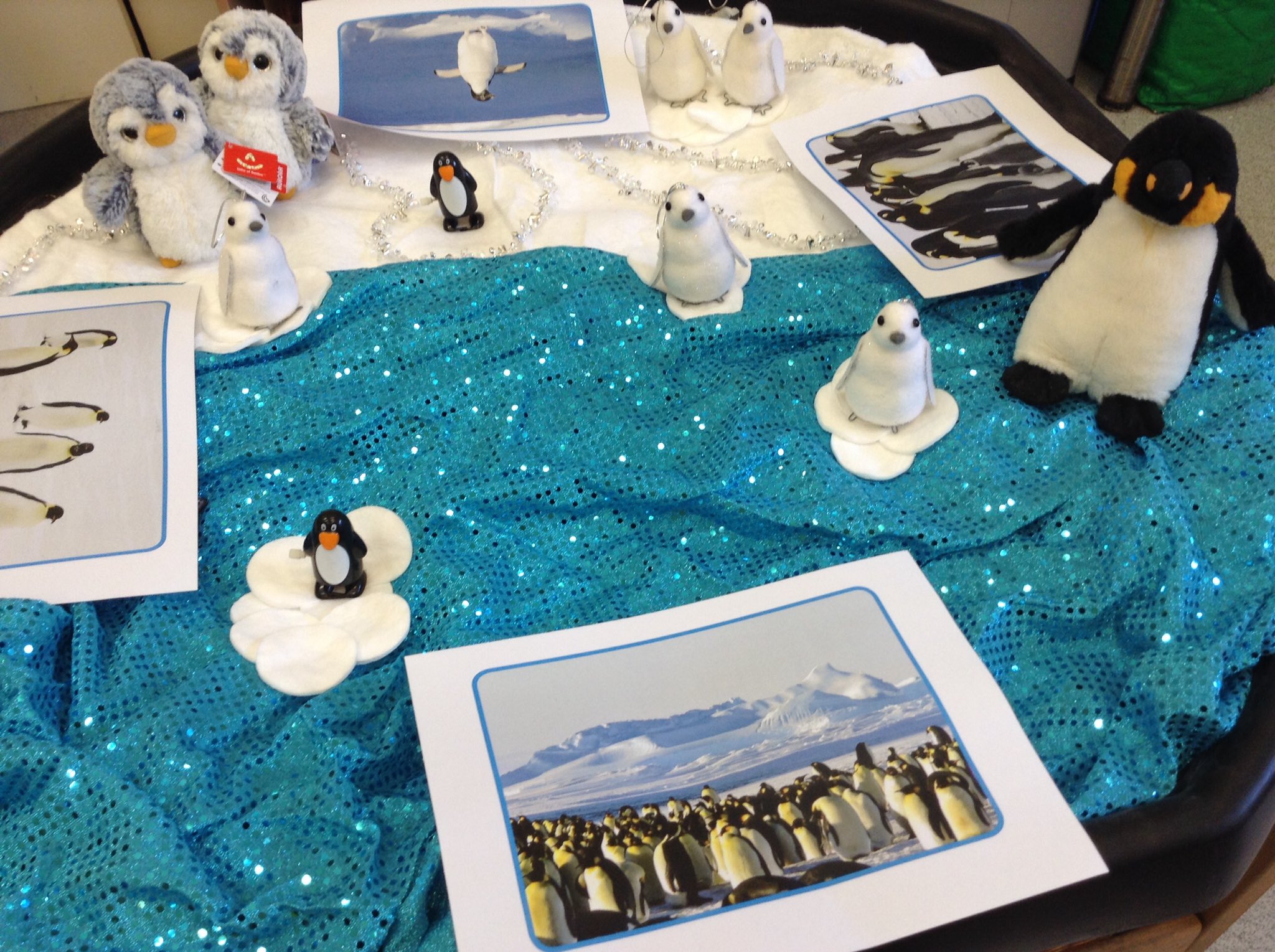 Penguin Habitat Shoebox Project