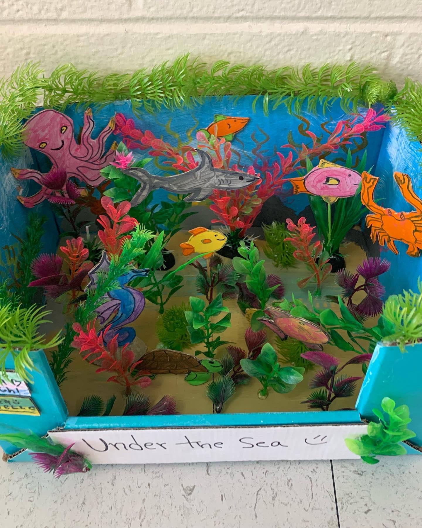 Ocean Ecosystem For 3rd Graders