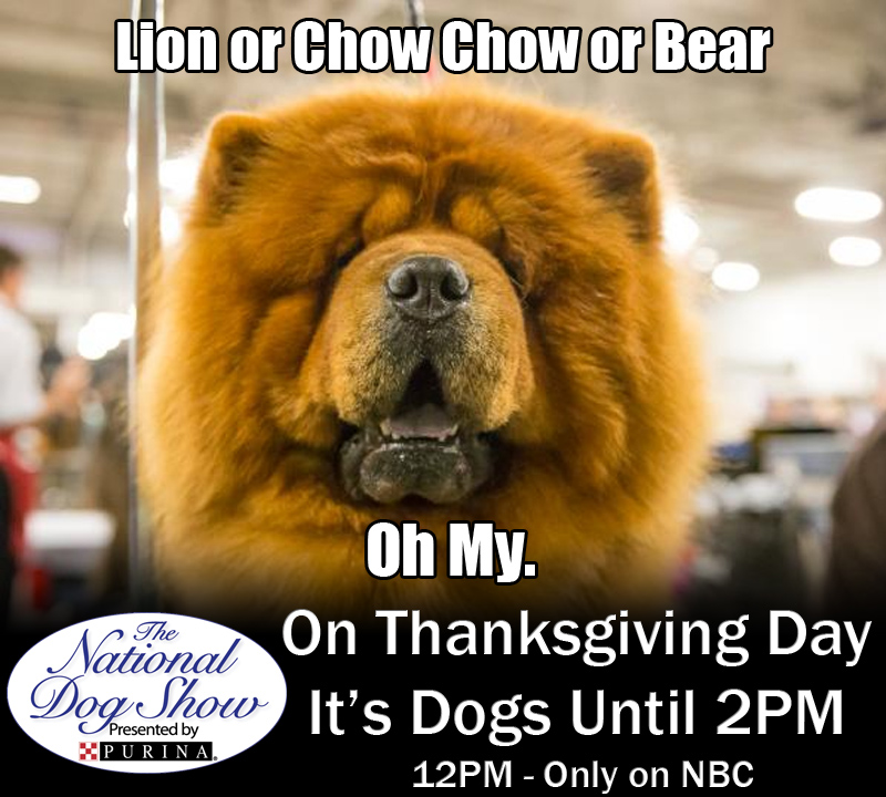 Chow Chow Meme
