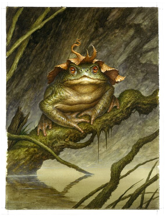 Giant Toad Fantasy