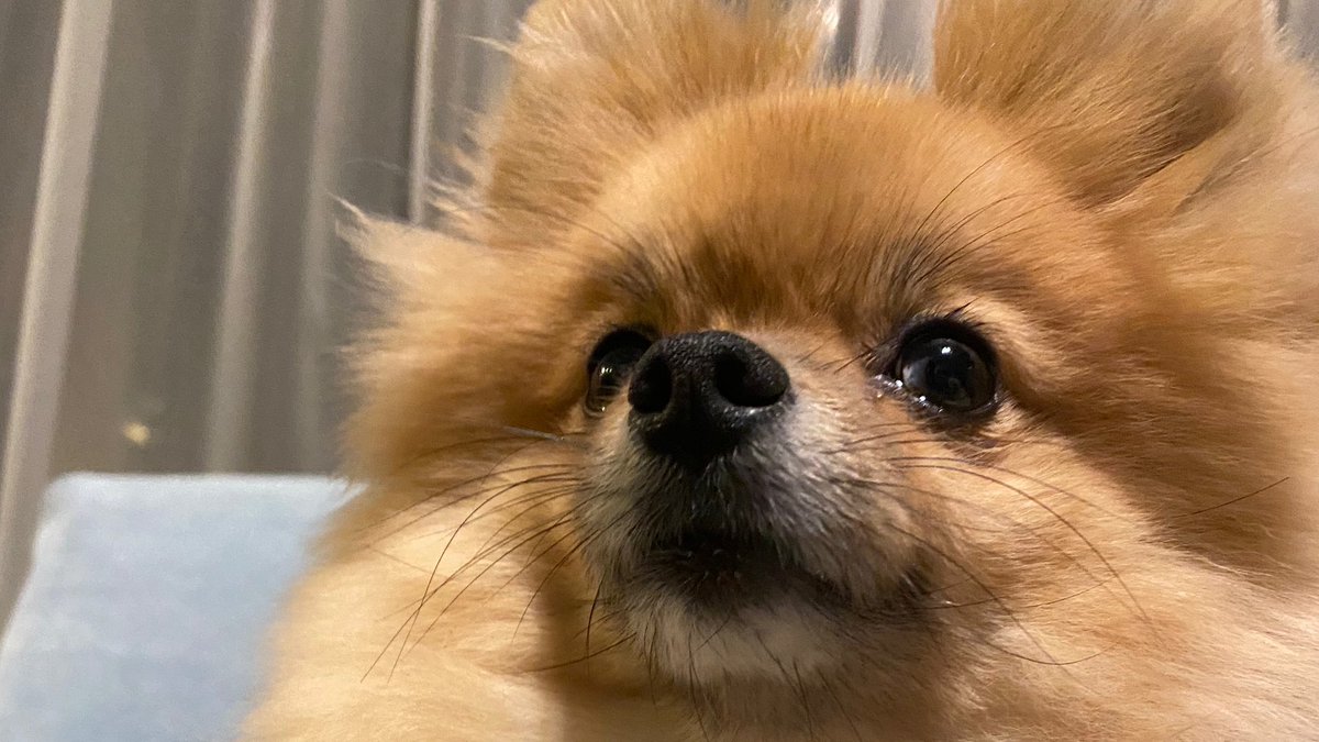 株式会社IOBI /イオビ 【公式】 (@iobi_intern) | Twitter