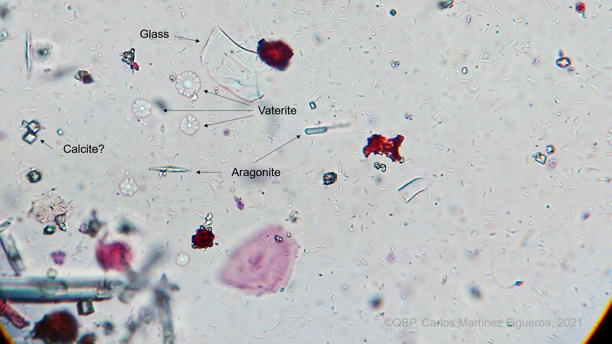 Calcium Carbonate Crystals