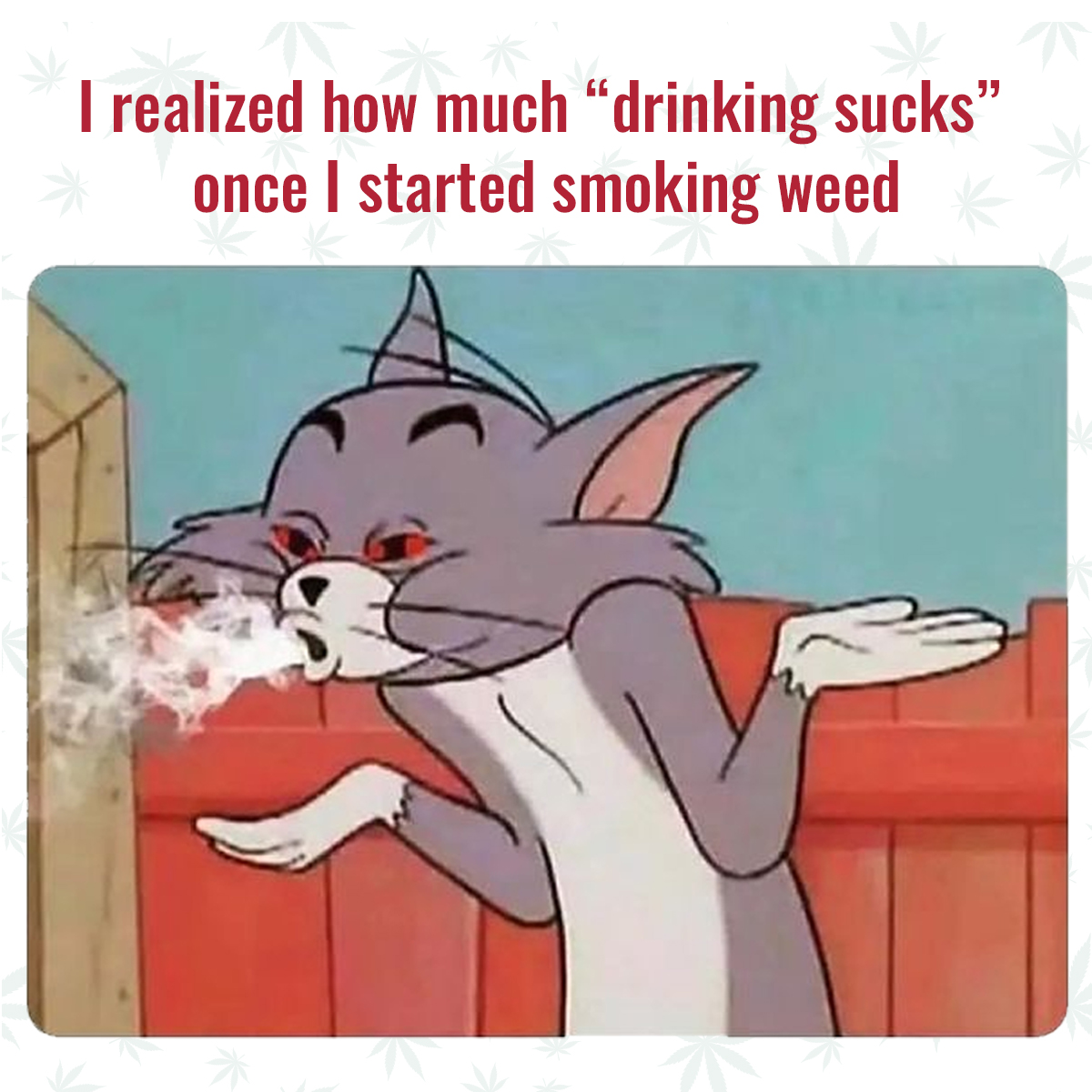 Tom And Jerry Smoking Weed