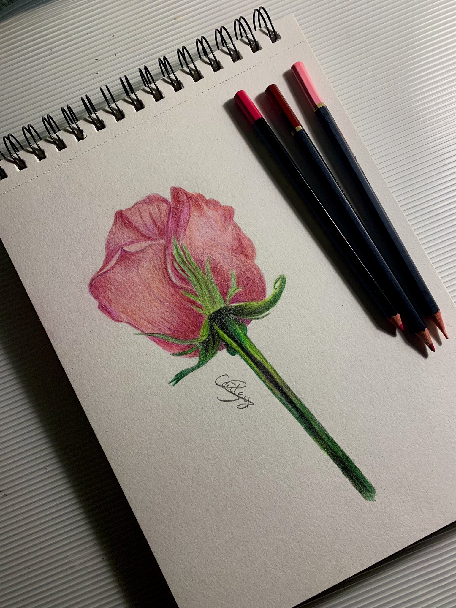 Drawing Flowers 3d Drawing Flower Vase 3d Model In Skp Sketch Up File.