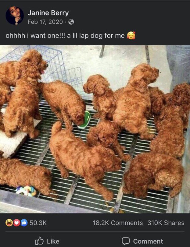 My Fried Chicken Meme